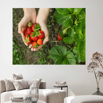 Strawberry Wall Decor in Canvas, Murals, Tapestries, Posters & More