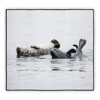 Seal Area Rugs & Floor Mats