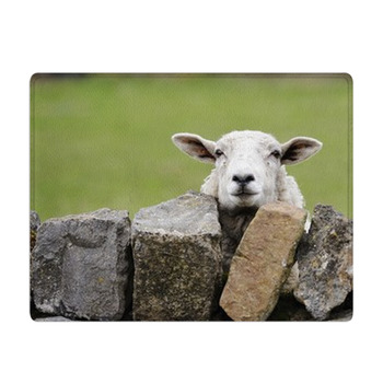 Sheep Shower Curtains, Mats, & Towels Personalize