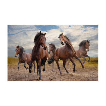 Horse Fabric by the Yard | Available in Ultra Large Custom Sizes