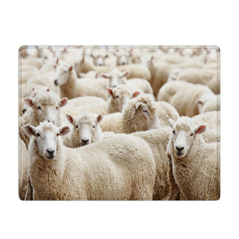 Sheep Shower Curtains, Bath Mats, & Towels Personalize