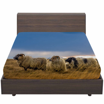 Sheep Comforters, Duvets, Sheets & Sets | Custom