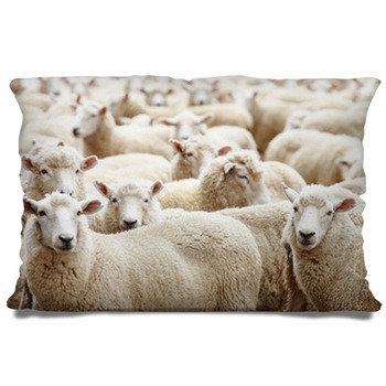 Sheep Comforters, Duvets, Sheets & Sets | Custom