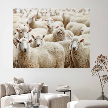 Sheep Wall Decor in Canvas, Murals, Tapestries, Posters & More