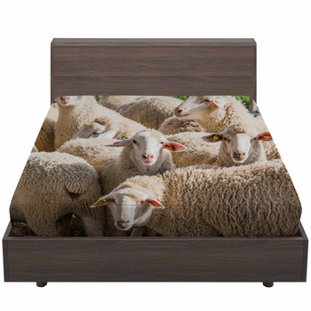 Sheep Comforters, Duvets, Sheets & Sets | Custom