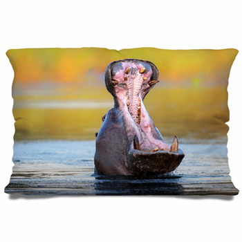 Hippo Comforters, Duvets, Sheets & Sets | Personalized