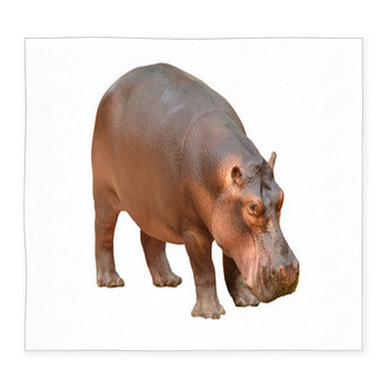 Hippo Area Rugs & Custom Size Floor Mats
