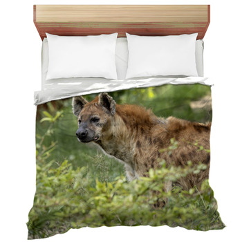Hyena Comforters, Duvets, Sheets & Sets | Custom