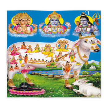 Indian Area Rugs & Floor Mats