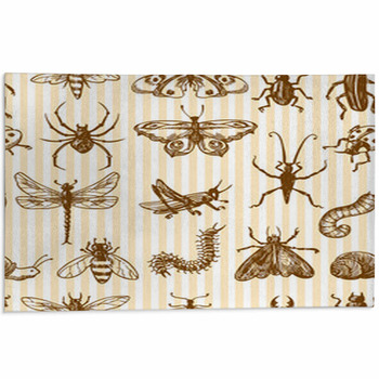 Insect Area Rugs & Custom Size Floor Mats