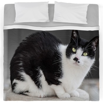 Cat Comforters, Duvets, Sheets & Sets | Custom
