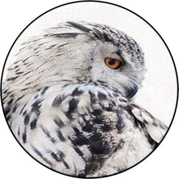 Owl Area Rugs & Custom Size Floor Mats