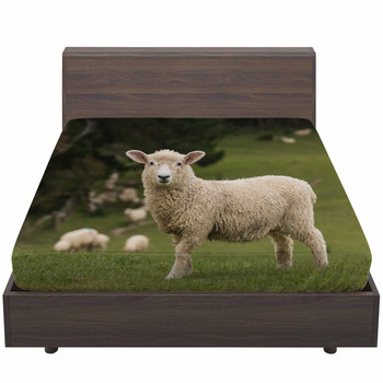 Sheep Comforters, Duvets, Sheets & Sets | Custom