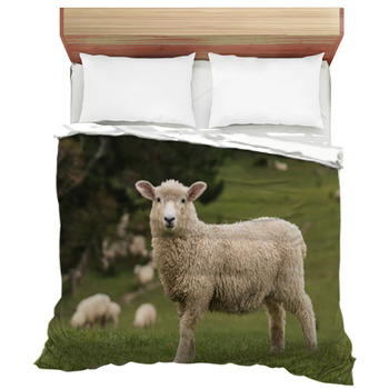 Sheep Comforters, Duvets, Sheets & Sets | Custom