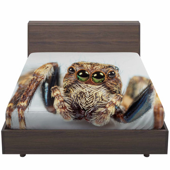 Spider Bedding | Comforters, Duvet Covers, Sheets & Bed Sets | Personalized