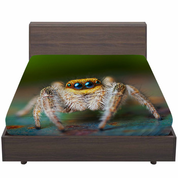 Spider Comforters, Duvets, Sheets & Sets | Personalized