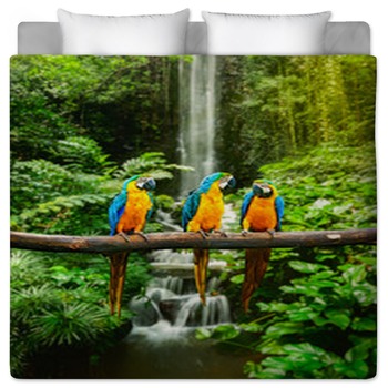 Nature Comforters, Duvets, Sheets & Sets | Personalized