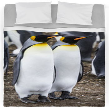 Penguin Comforters, Duvets, Sheets & Sets | Custom