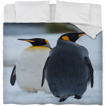 Penguin Comforters, Duvets, Sheets & Sets | Custom