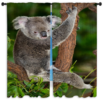 Koala Drapes & Window Treatments | Black Out | Custom Sizes