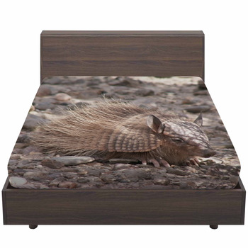 Armadillo Comforters, Duvets, Sheets & Sets | Personalized