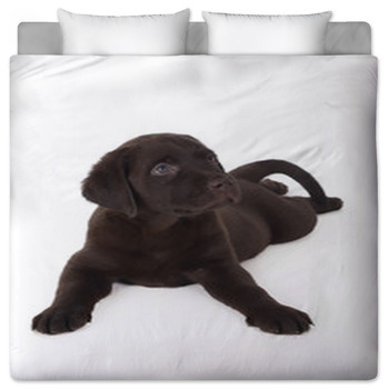 Puppy Comforters, Duvets, Sheets & Sets | Custom