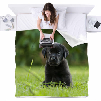 Puppy Comforters, Duvets, Sheets & Sets | Custom