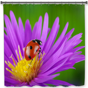 Ladybug Shower Curtains, Bath Mats, & Towels Personalize