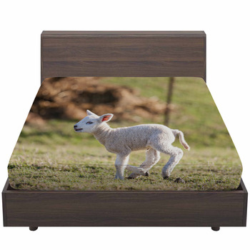Farm animal Comforters, Duvets, Sheets & Sets | Custom