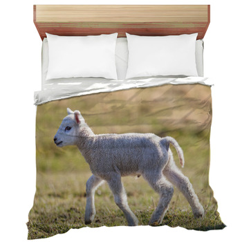 Farm animal Comforters, Duvets, Sheets & Sets | Custom