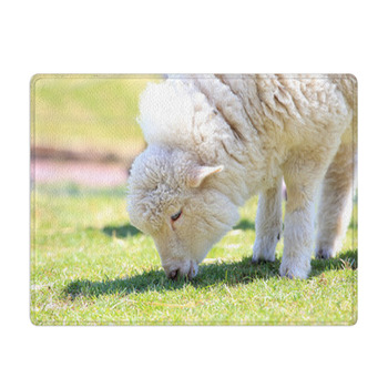 Sheep Shower Curtains, Bath Mats, & Towels Personalize