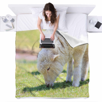 Sheep Comforters, Duvets, Sheets & Sets | Custom