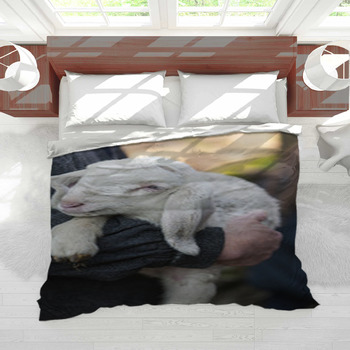 Sheep Comforters, Duvets, Sheets & Sets | Custom