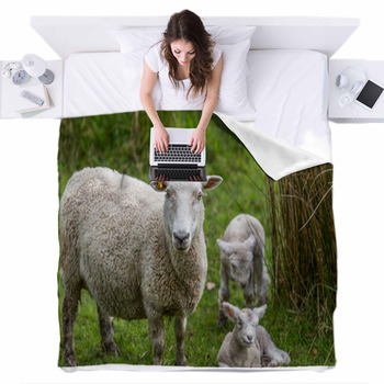 Sheep Comforters, Duvets, Sheets & Sets | Custom