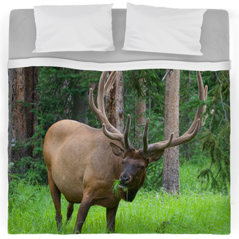 Yellowstone Bedding | Comforters, Duvet Covers, Sheets & Bed Sets | Custom