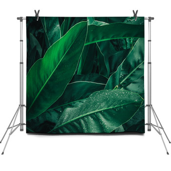 Leaf Custom Backdrops | Available in nearly ANY Custom Sizes