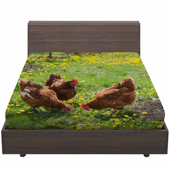 Farm animal Comforters, Duvets, Sheets & Sets | Custom