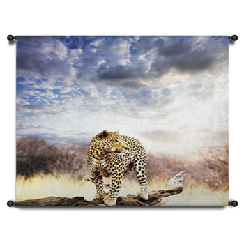Leopard Wall Decor in Canvas, Murals, Tapestries, Posters & More