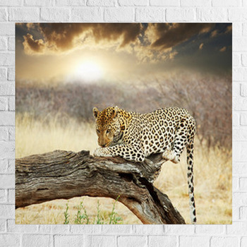 Leopard Wall Decor in Canvas, Murals, Tapestries, Posters & More