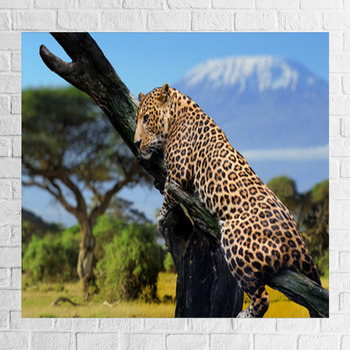 Leopard Wall Decor in Canvas, Murals, Tapestries, Posters & More