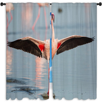 Flamingo Curtains & Drapes | Black Out | Custom Sizes