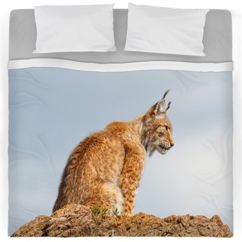 Bobcat Comforters, Duvets, Sheets & Sets | Personalized