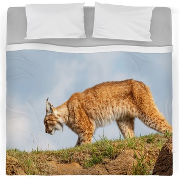 Bobcat Comforters, Duvets, Sheets & Sets | Personalized