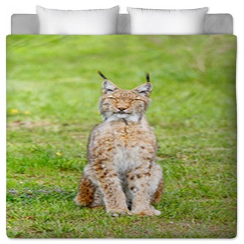 Bobcat Comforters, Duvets, Sheets & Sets | Personalized