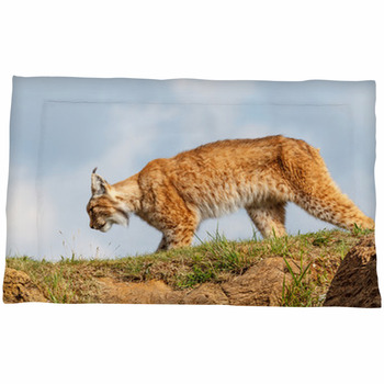 Bobcat Comforters, Duvets, Sheets & Sets | Personalized