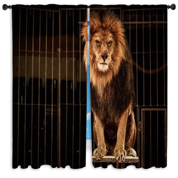 Circus Drapes & Window Treatments | Black Out | Custom Sizes