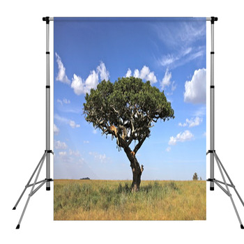 Safari Photo Backdrops | Available in nearly ANY Custom Sizes