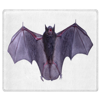 Bat Rugs & Custom Size Floor Mats