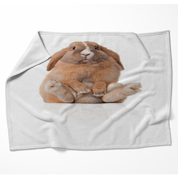 Bunny Fleece Blanket Throws | Free Personalization