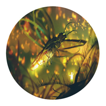 Firefly Area Rugs & Floor Mats